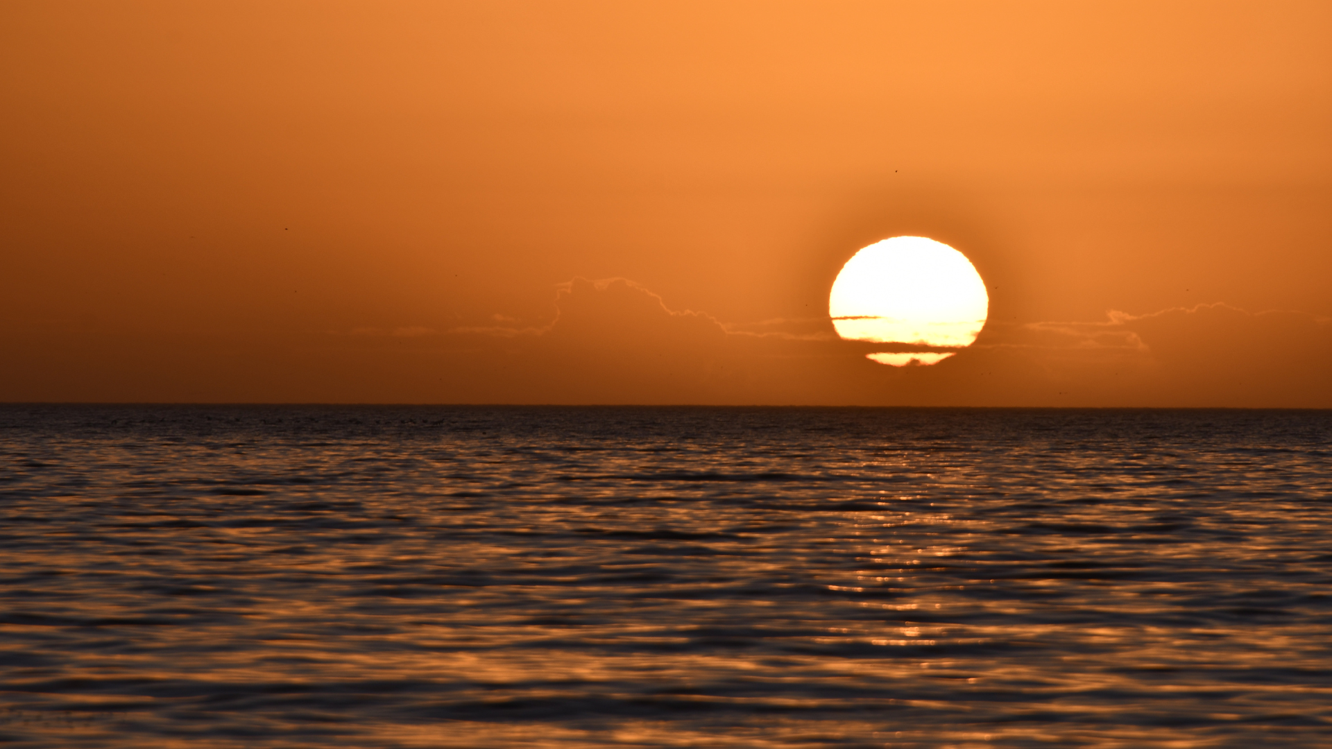 In Tribute To Kristian Eidesvik - Barbados Maritime Ship Registry